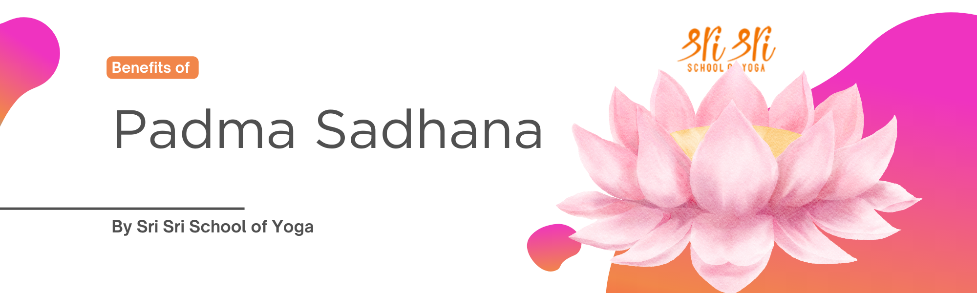 Hidden secrets of Padma Sadhana | Sri Sri School of Yoga | India